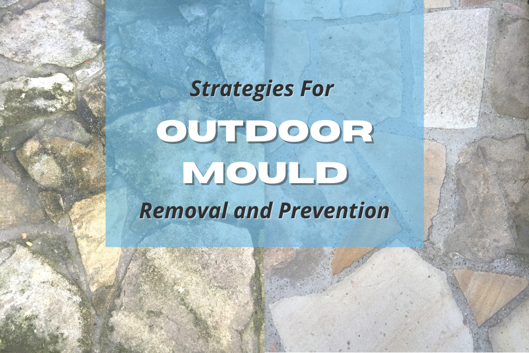 Strategies For Outdoor Mould Removal and Prevention — Wet & Forget ...
